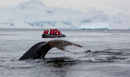 IT'S TIME TO EXPLORE ANTARCTICA - Far Frontiers Travel